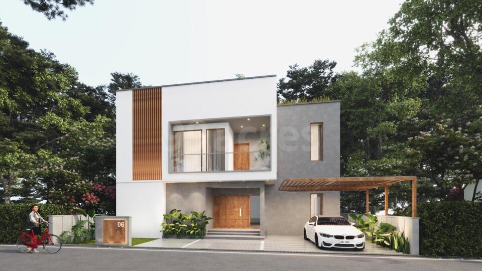 Level 100 Roots Photos And Videos - Tripunithura, Kochi Pictures