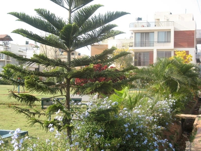 1 BHK / Bedroom Builder Floor for rent in MSR Royal City 4th Stage ...