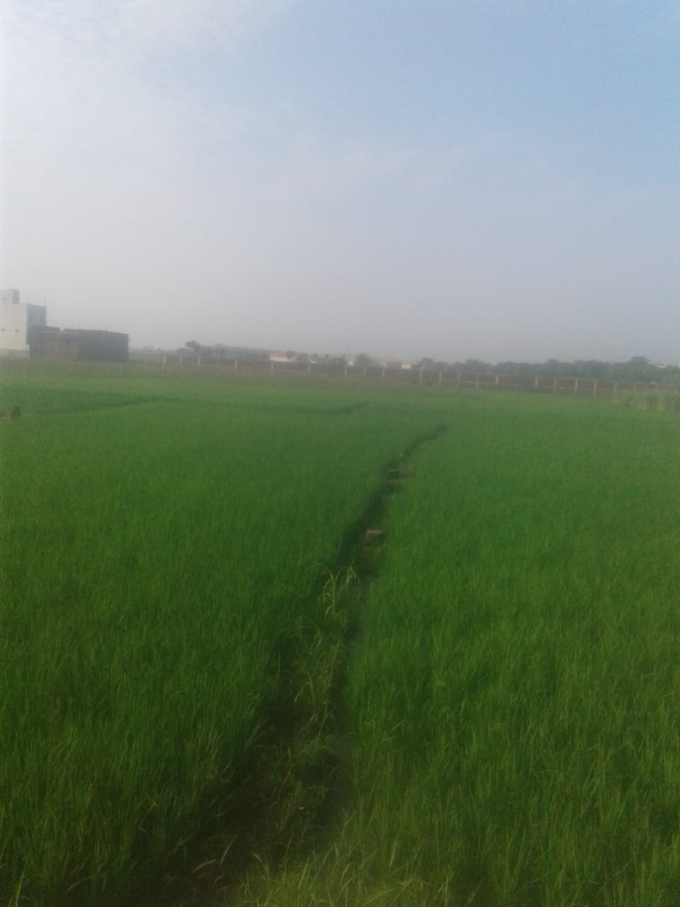 Maa Developer Patna Sun Bhoomi Project Photos - Sun Bhoomi Project ...