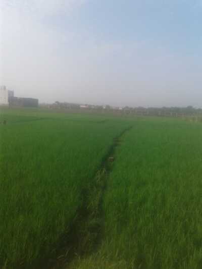 Maa Developer Patna Sun Bhoomi Project Photos - Sun Bhoomi Project ...