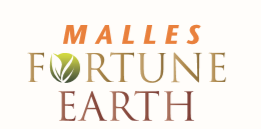 Malles Constructions Malles Fortune Earth Map - Manivakkam, Chennai ...