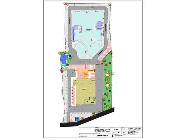 Mayflower Enterprises Mayflower Caladium Photos - Peelamedu, Coimbatore ...