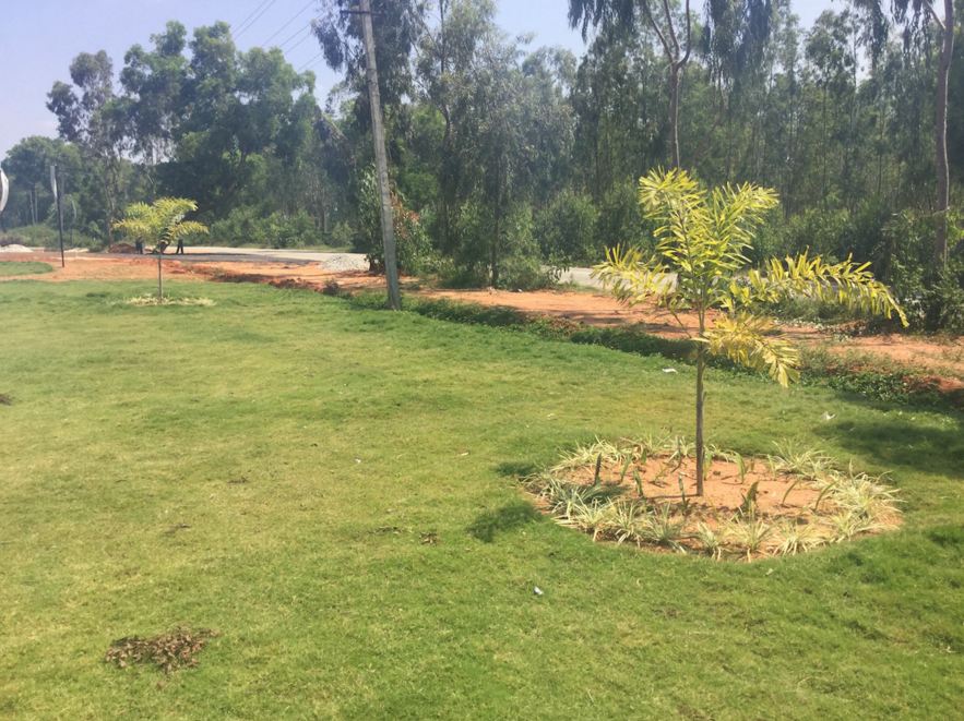 Merusri Developers Merusri Codename Double Delight Photos And Videos ...