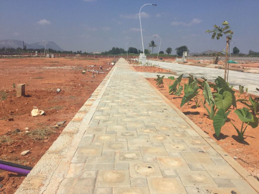 Merusri Developers Merusri Codename Double Delight Photos And Videos ...