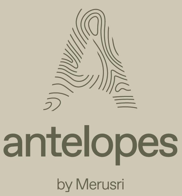 Merusri Developers Merusri Antelopes Floor Plan - Devanahalli, Bangalore