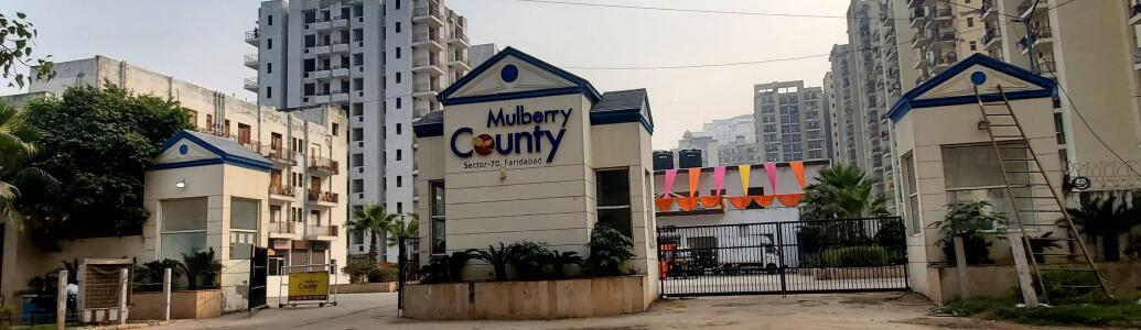 MGH Mulberry County Sector 70, Faridabad | Price List & Brochure, Floor ...
