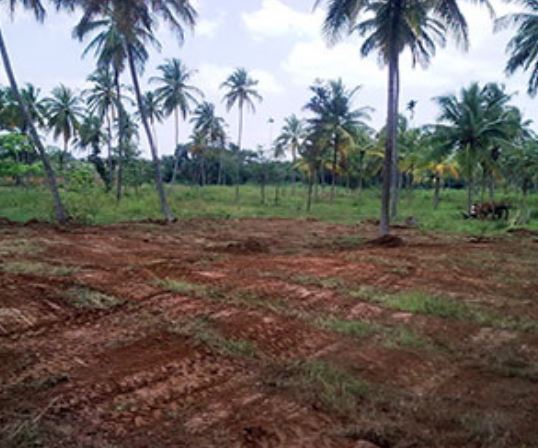 Midmac Developers Midmac Brookefield Photos - Gurur, Mysore Pictures