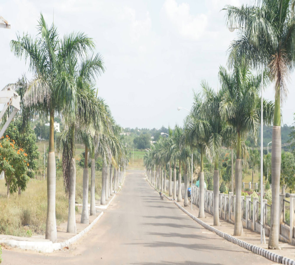 Midmac Palm Meadows Phase 3 Gokul, Hubli | Price List & Brochure, Floor ...