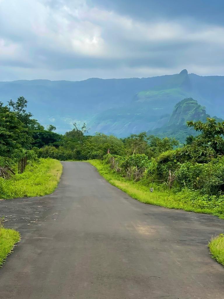 Mohite Mountain View Farm Khopoli Pali Road, Raigad Resale Price List ...