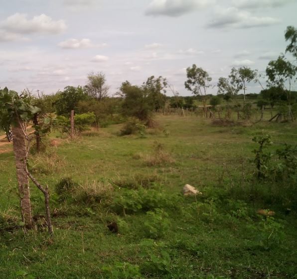 Muppas Green Fields Photos - Vattinagulapally, Narsingi Pictures