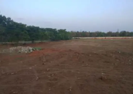 My Bhoomee Space Infra Developers My Bhoomee Daffodils Farm Photos ...