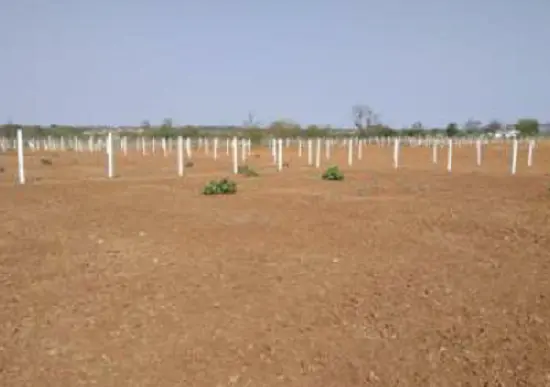 My Bhoomee Space Infra Developers My Bhoomee Hollys Farm Photos ...