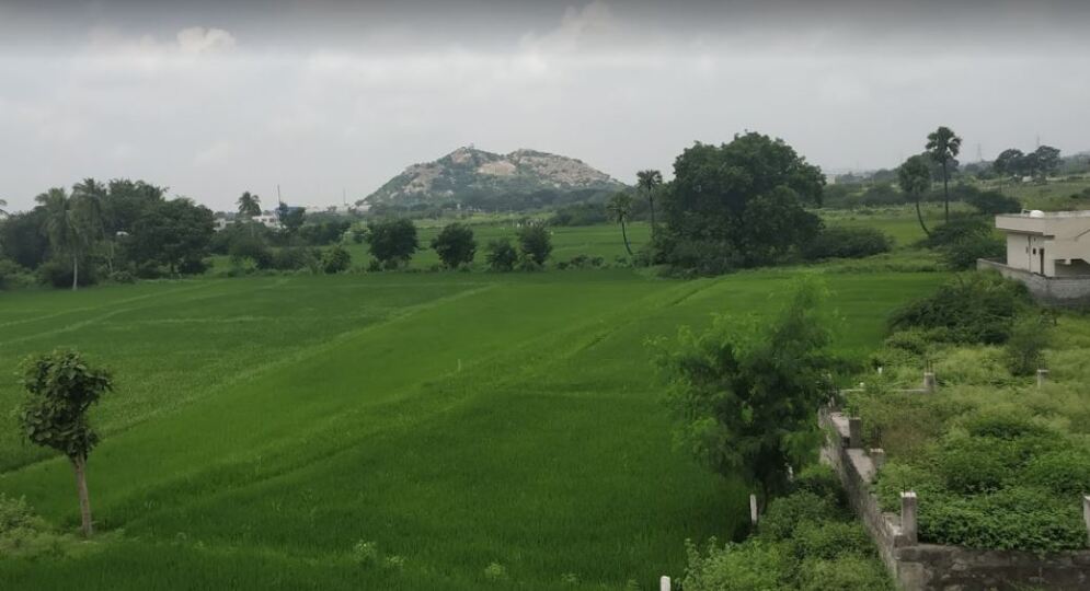 Narne East City Bibinagar, Hyderabad Resale Price List, Brochure, Floor ...