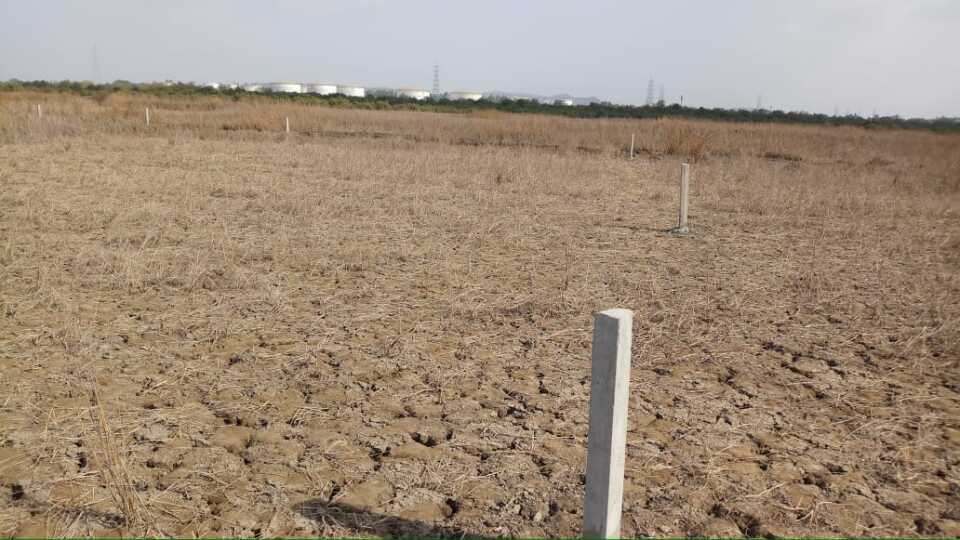 Navi Mumbai Plots and Developers Navi Mumbai Plots Chirle Photos And ...