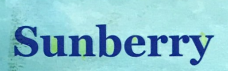 Neelkanth Sunberry Ghansoli, Navi Mumbai | Price List & Brochure, Floor ...