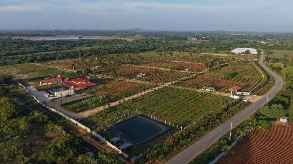 Neralu Farms Korlaparthi Devanahalli, Bangalore | Price List & Brochure ...