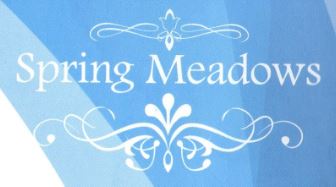 Nestwood Estates and Morias Infrastructure Spring Meadows Floor Plan ...