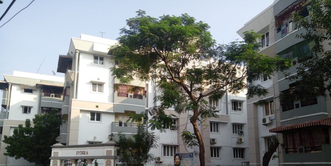 Nu Tech Associates Nu Tech Indra Photos - Ashok Nagar, Chennai South ...
