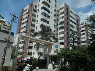 Oceanus builders Builders / Developers - Projects - Constructions