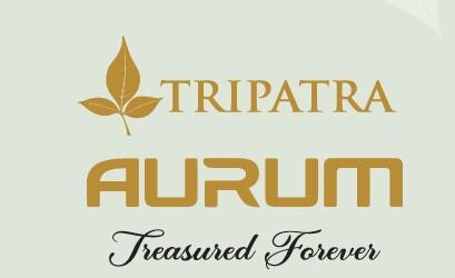Tripatra Aurum Mylapore, Chennai | Price List & Brochure, Floor Plan ...