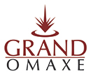 Grand Omaxe Gomti Nagar Extension, Lucknow | Price List & Brochure ...