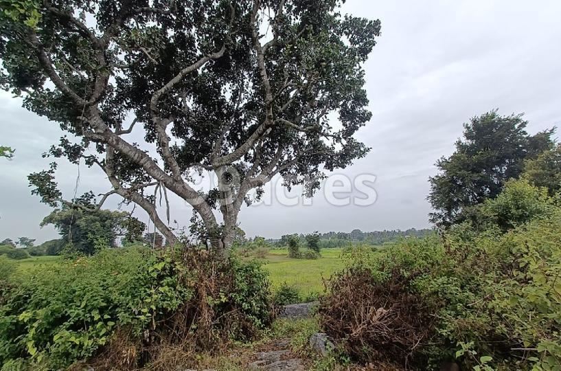 Malabar Natural Greens Bangalore East, Sarjapur Road | Price List ...