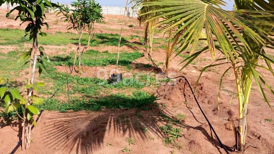 Padmasri Townships Farm Land 10 Choutuppal, Hyderabad Resale Price List ...