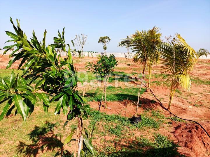 Padmasri Townships Farm Land 10 Choutuppal, Hyderabad Resale Price List ...