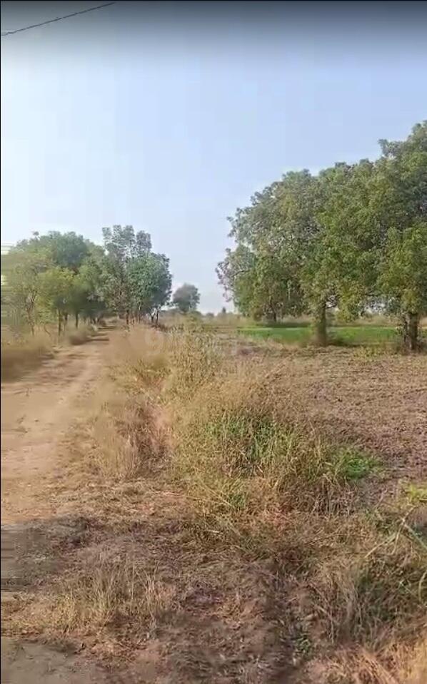 Pasumai Thaagam Ecobiz India Pasumai Thaagam Nature Farm Photos And ...