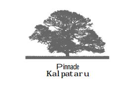 Pinnacle Group Pinnacle Kalpataru Map - Erandwane, Pune Location Map