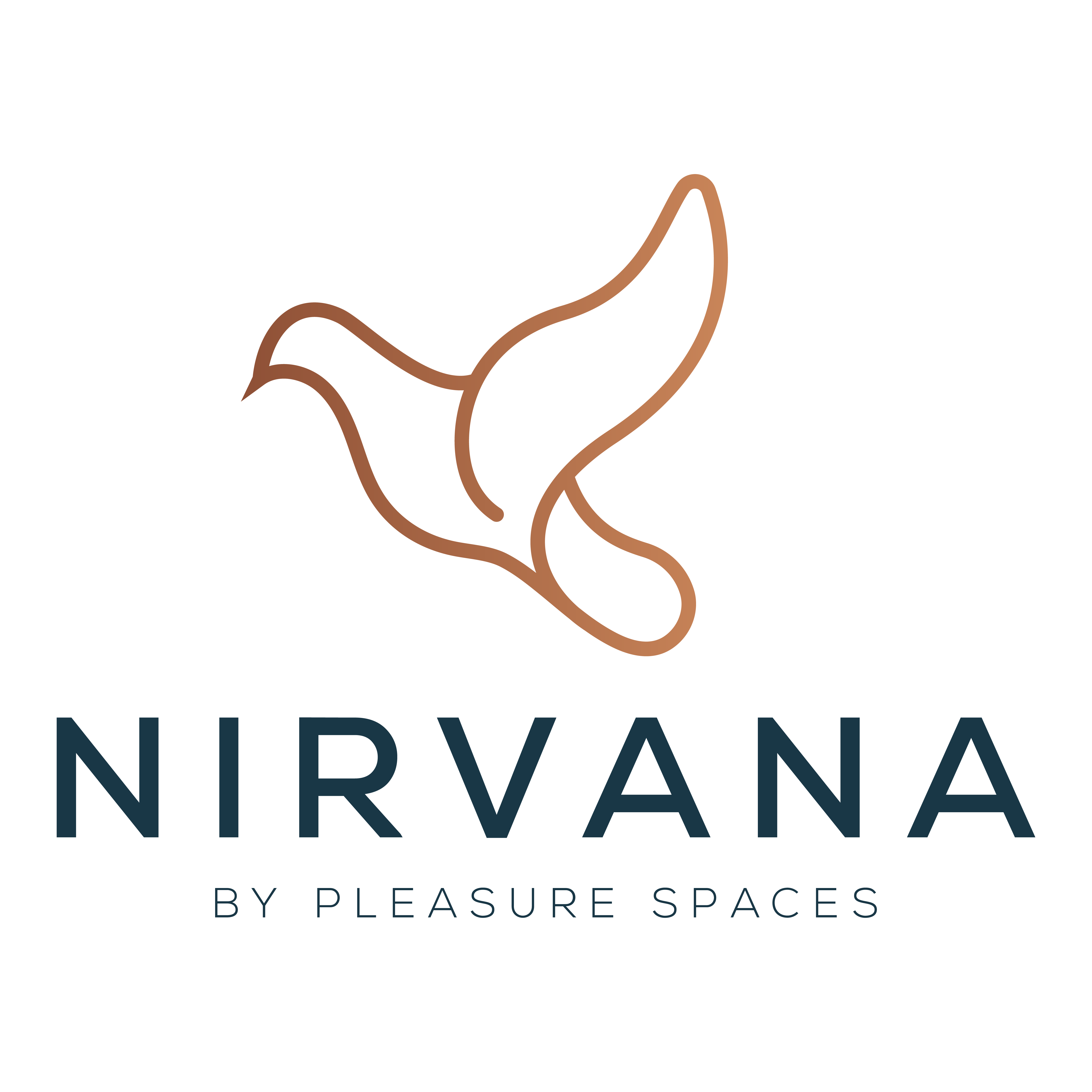 Maa Homes and Estate Pleasure Spaces Nirvana Map - Devanahalli ...