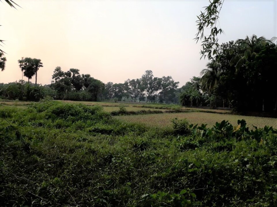 Pupun Green Park Amtala, Kolkata South Resale Price List, Brochure ...