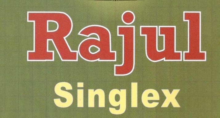 Rajul Singlex Neemkheda, Jabalpur | Price List & Brochure, Floor Plan ...