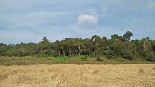 Ram Coorg Farm House Coorg / Madikeri, Virajpet Resale Price List ...