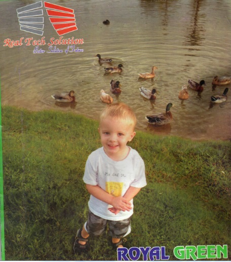 Real Tech Solution Royal Greens Photos - Noida Greater Noida Expressway ...