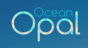 Reena Ocean Opal Akkarai, Chennai South Resale Price List, Brochure, Floor Plan, Location Map ...