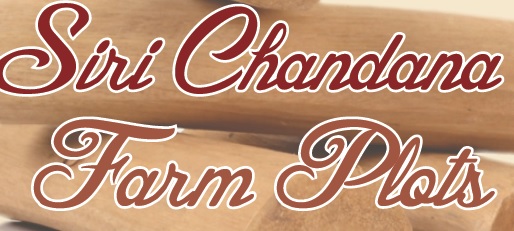 Remax Siri Chandana Farm Plots Hyderabad, Maheshwaram Resale Price List ...