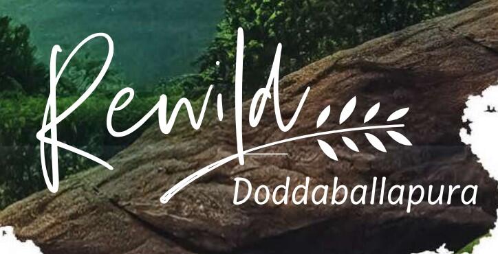 Rewild Life LLP Rewild Doddaballapura Map - Doddaballapur Road Location Map