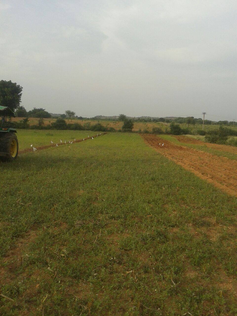 Rmk Projects Builders RMK KK Farms Photos - Moinabad, Rangareddy Pictures