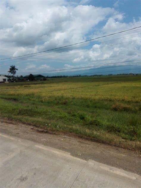 The Elites 151 Sector 151, Noida | Price List & Brochure, Floor Plan ...