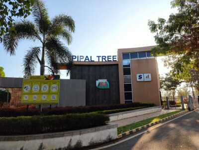 Residential land / Plot for sale in Salarpuria Sattva Pipal Tree ...