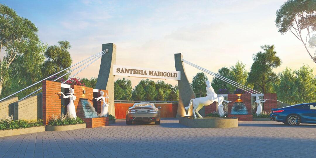 Santeria Infra Santeria Marigold Photos And Videos - Masma, Surat Pictures