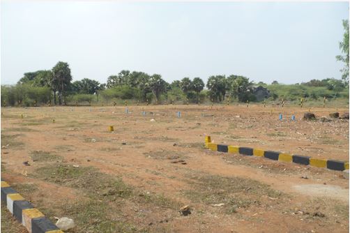 Sarala Housing Plots Photos - Padappai, Kanchipuram Pictures