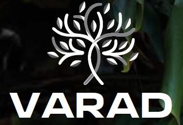 Satyam Builders and Developers Satyam Varad Floor Plan - Kammasandra, Electronic City