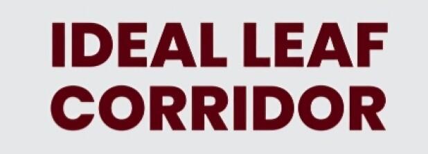Ideal Leaf Corridor Budhaniya, Indore | Price List & Brochure, Floor ...