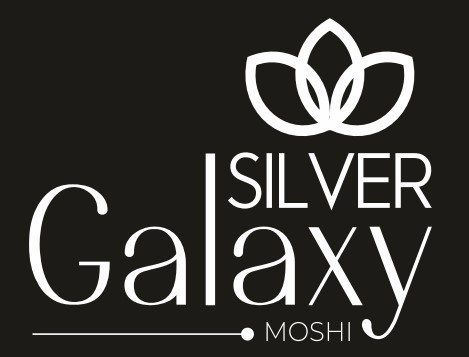 Silver Galaxy Borhade Wadi, Moshi | Price List & Brochure, Floor Plan ...