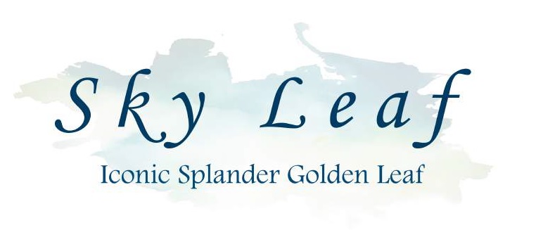 Sky Leaf Daskroi, Ahmedabad | Price List & Brochure, Floor Plan ...