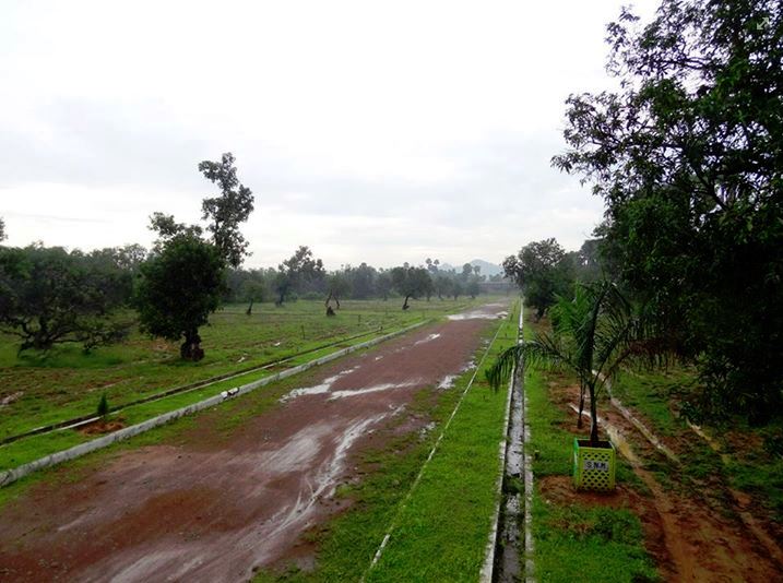 SNM Developers SNM Green Blossoms Photos - Alamanda, Vizianagaram Pictures