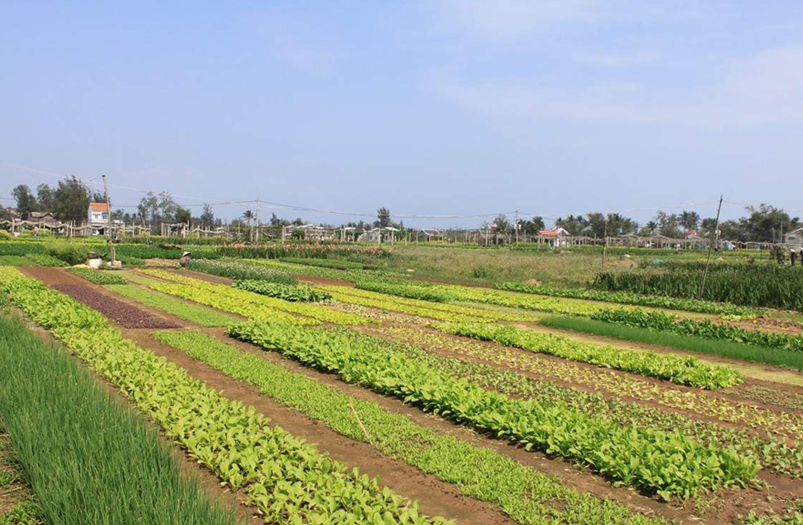 SRB Sri Jagannath Vihar 5 Puri, Chandanpur Resale Price List, Brochure ...