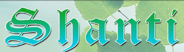 SSK Developers Kolkata SSK Shanti Floor Plan - Action Area 1, Kolkata East